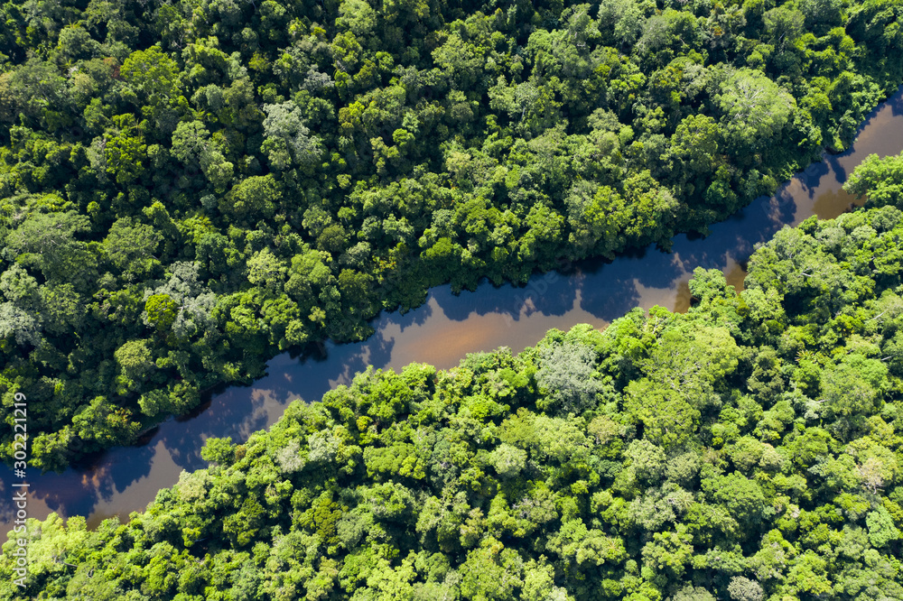 View from above, stunning aerial view of a tropical rainforest with the ...