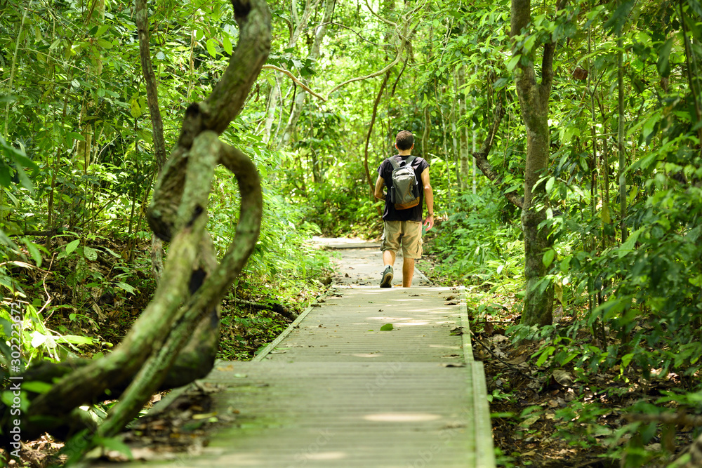Stunning view of a traveler walking on a walkway that runs through the ...