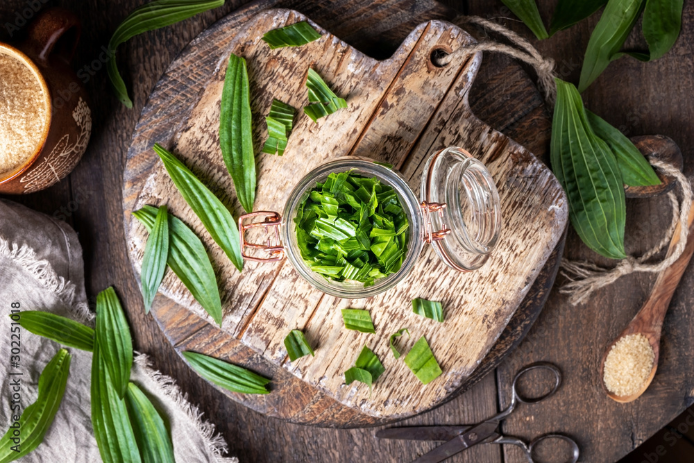 Preparation of ribwort plantain syrup against cough, top view Stock ...