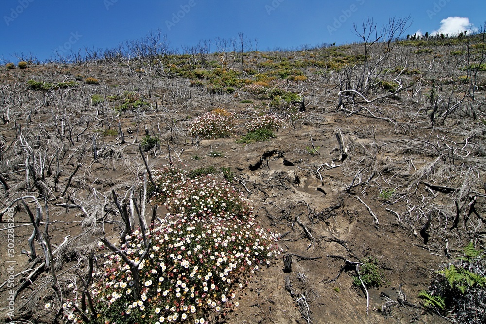 The Karthala Volcano is the highest mountain of the Comoros Islands and ...
