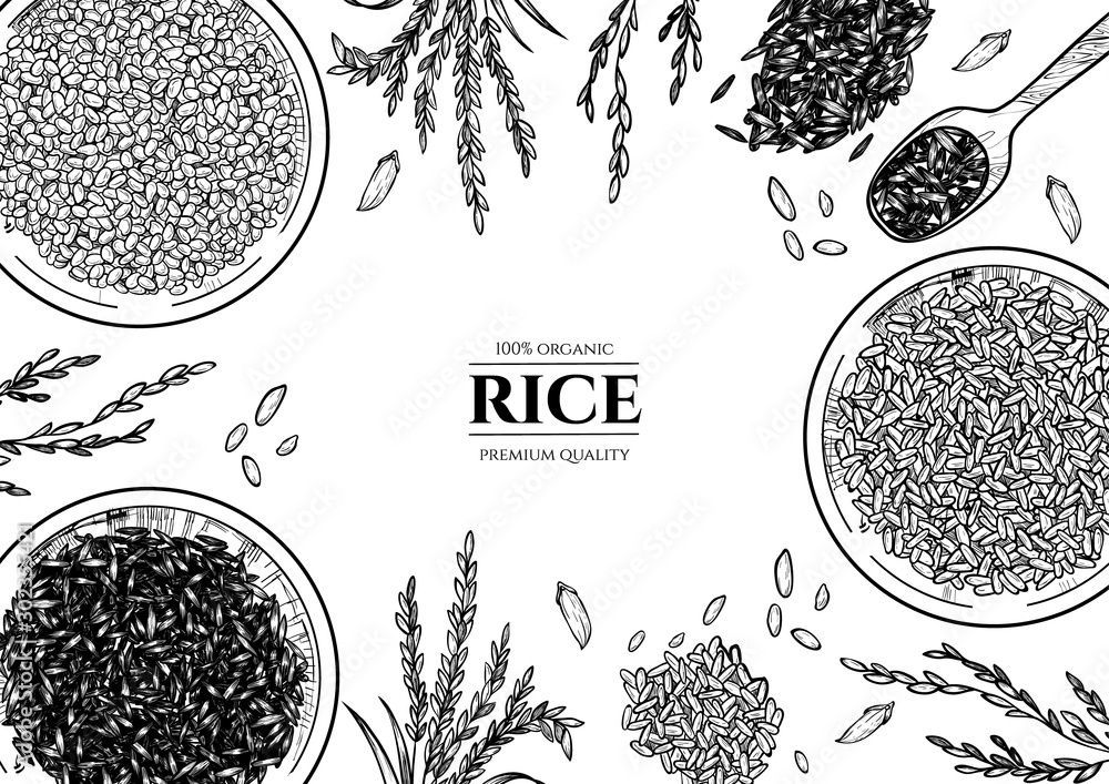 Vector frame with rice . Hand drawn. Vintage style Stock Vector | Adobe ...