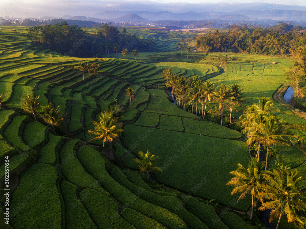 Aerial photo of rice terrace field in Indonesia which was taken in the ...