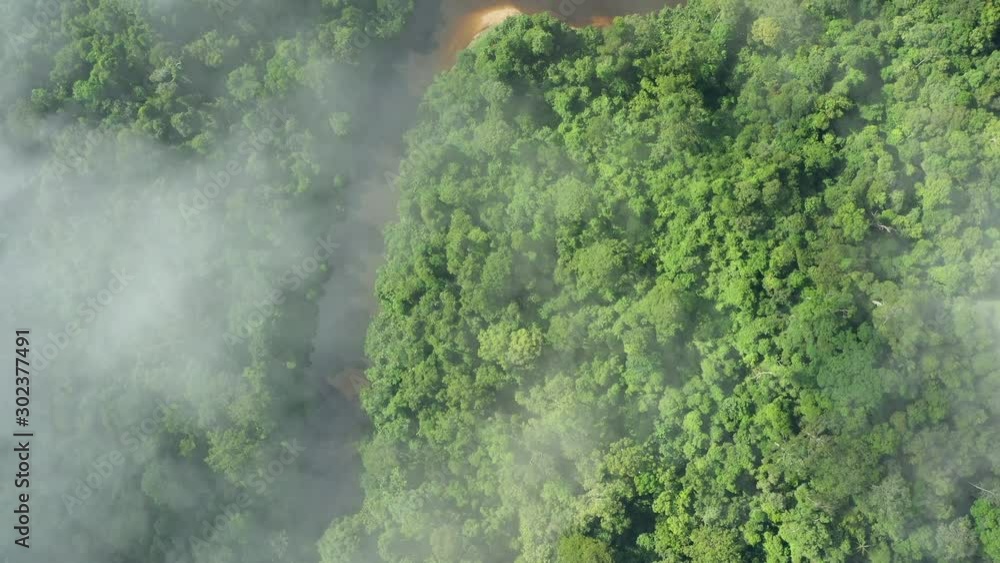 View from above, stunning aerial view of a tropical rainforest with the ...