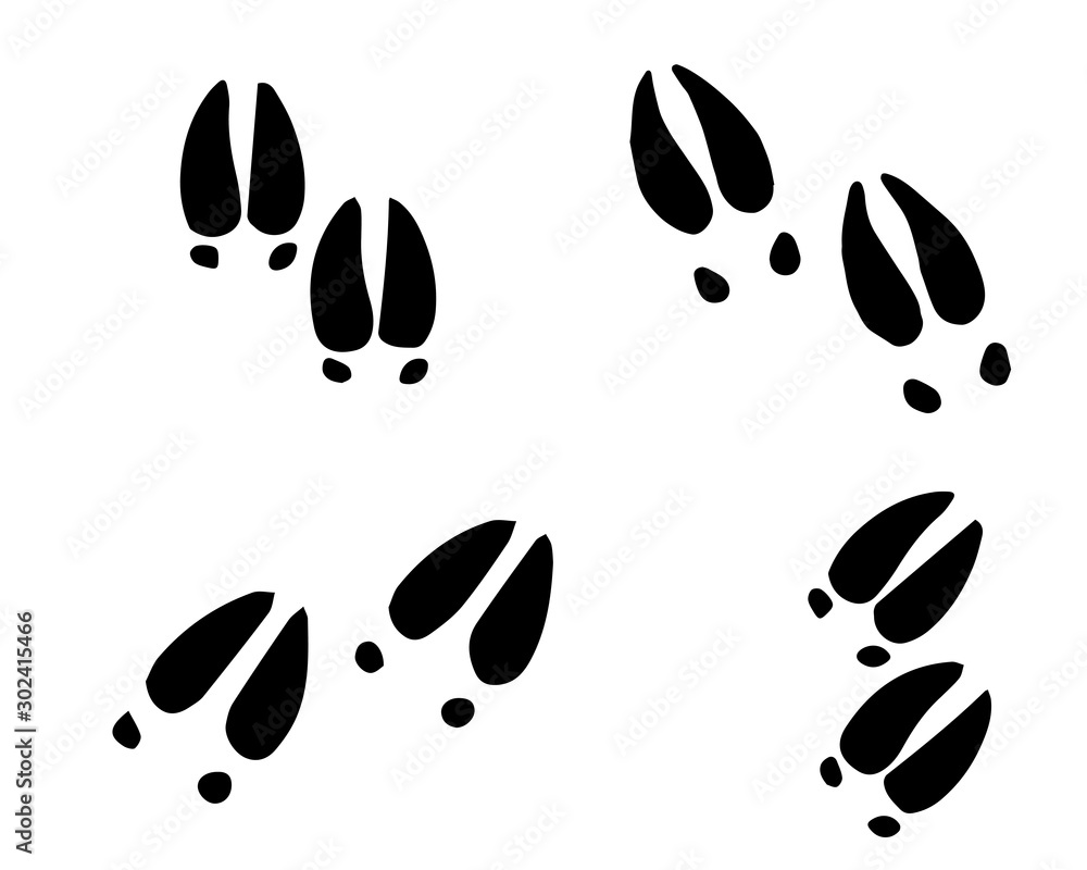Deer and moose tracks black silhouette. Vector animals footprint set ...