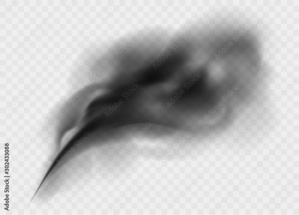 Black smoke cloud isolated on transparent background. Black cloudiness ...