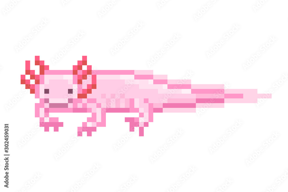 Pink axolotl, pixel art character isolated on white background. 8 bit ...
