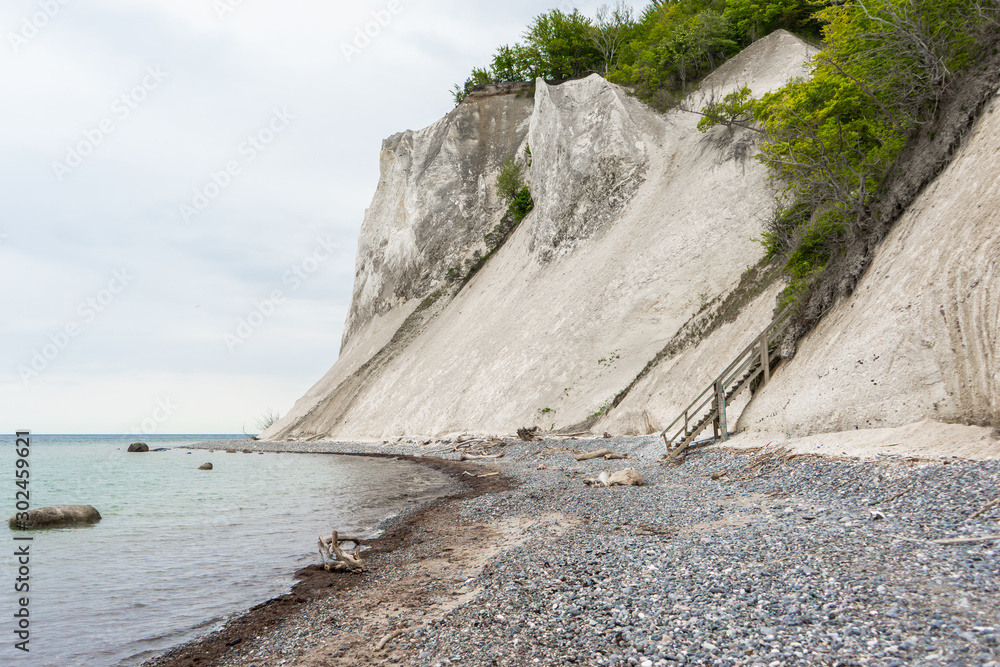 Foto Stock The white chalk cliffs, Mons Cliff / Møns Klint in Denmark ...