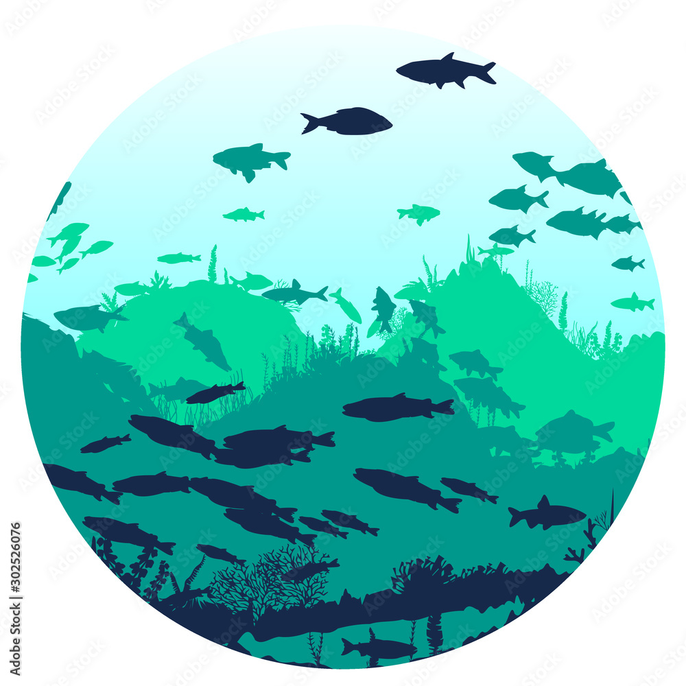 the underwater scene. Silhouette of fish and algae on the background of ...