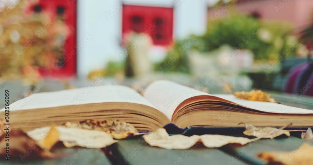 Book Pages Turning In The Autumn Wind, Close Up. SLOW MOTION. Open book ...