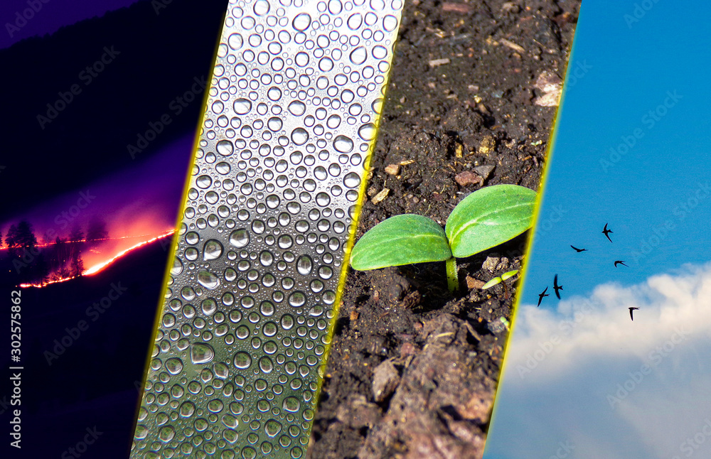 Collage of photos on the theme of the elements of the Earth. The main ...