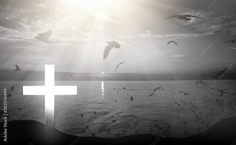 Jesus Christ Umages Birds