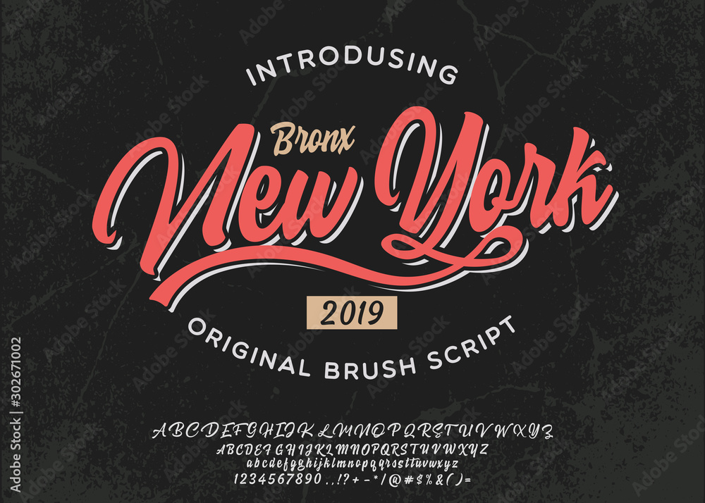 Bronx. New York City print. Hand made script font. Stylish badge for ...
