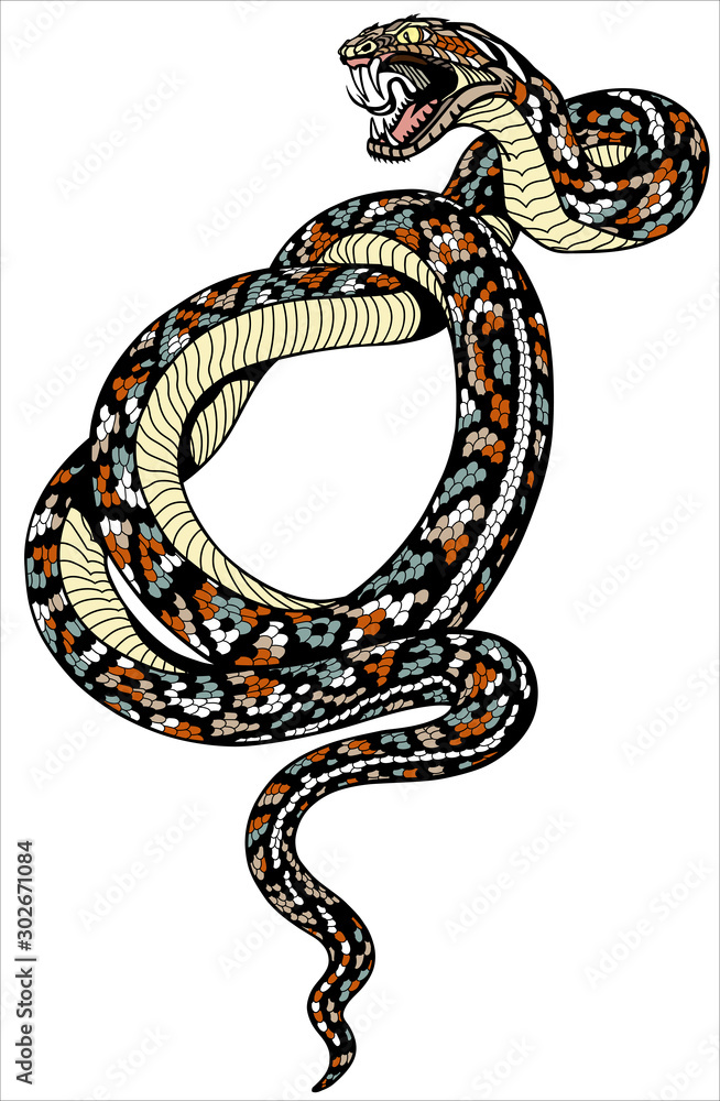angry snake. Attacking coiled serpent. Tattoo style isolated vector ...