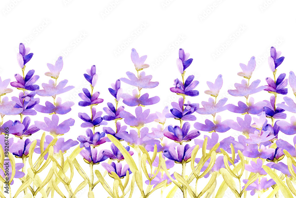 Seamless pattern border with sprigs of lavender flowers in the field on ...