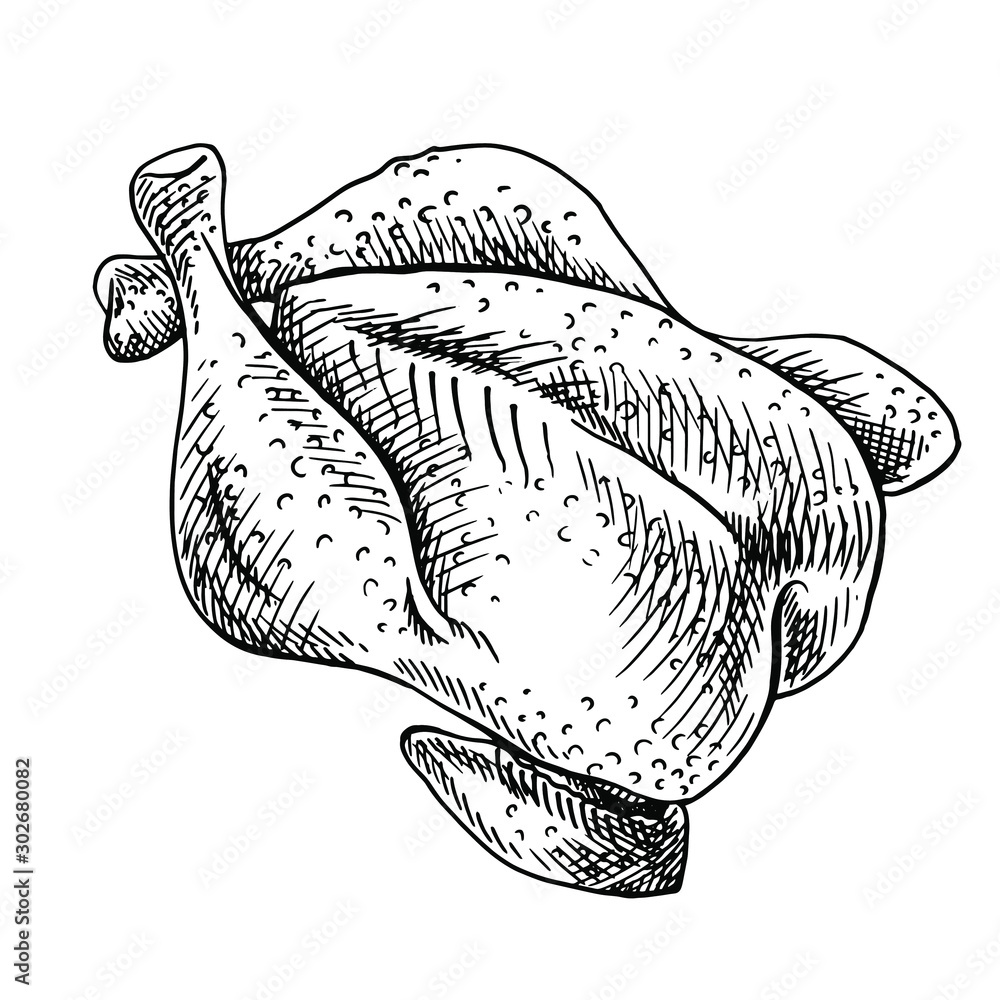 Chicken meat. Hand drawn sketch of fried hen. Linear sketch of the ...