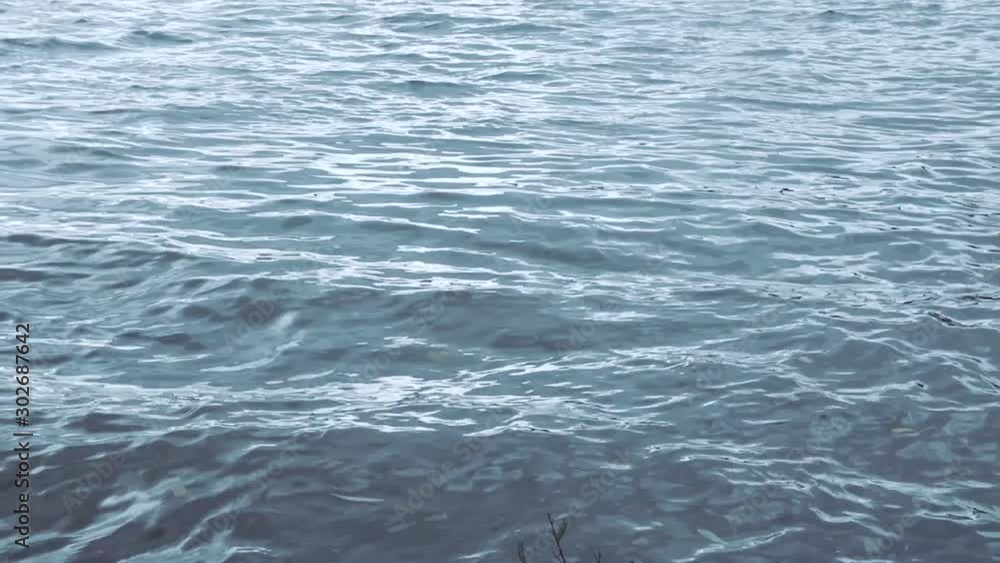 Still shot of water surface with ripples Stock Video | Adobe Stock