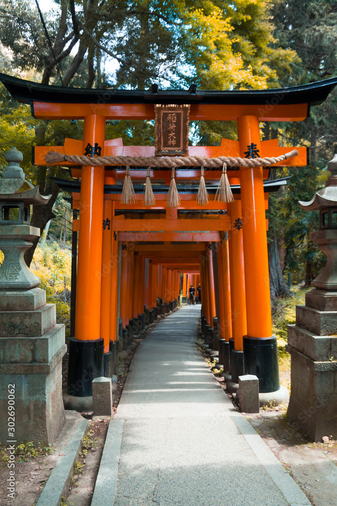 The beautiful historic Fushimi Inari-taisha gates in Kyoto, Japan. The ...