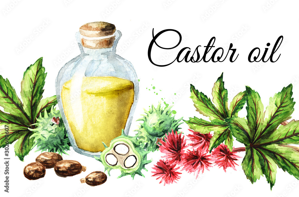 Castor oil card with bottle, green castor fruits, beans, flowers ...