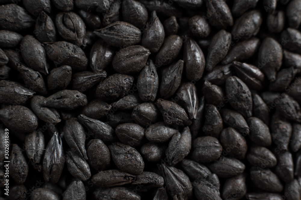 Black roasted malt for alcohol production. Roasted Barley background ...