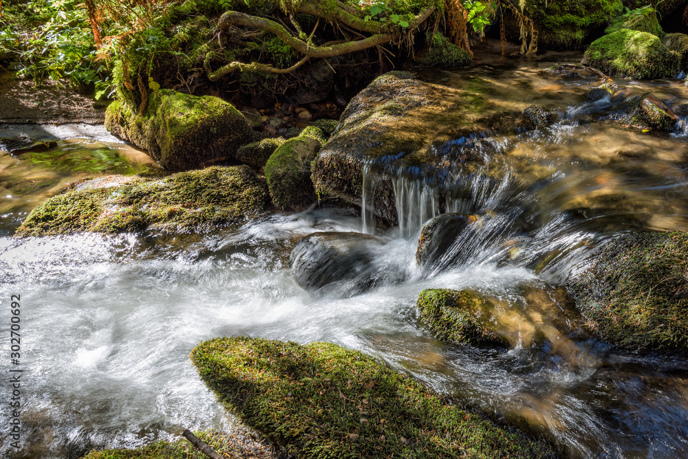 Cascades in a creek in Rodopi mountain range national park Stock Photo ...