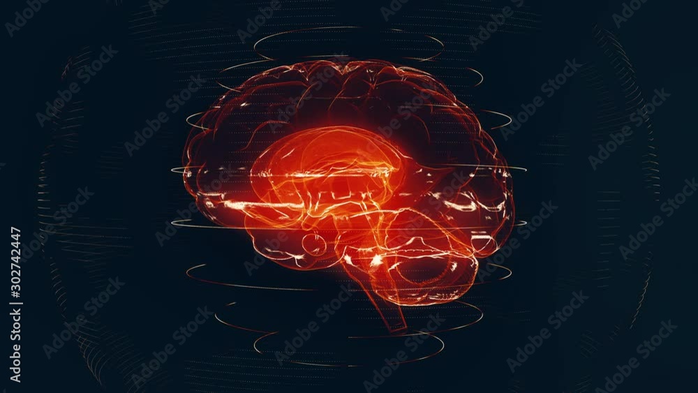 Futuristic red digital brain seamless loop. Neurons firing in MRI scan ...