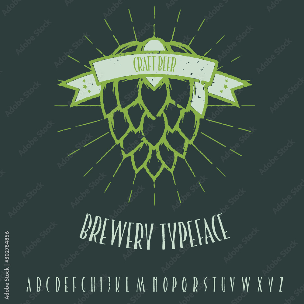 " beer " typeface. Vector hand crafted font in medieval style with hops ...