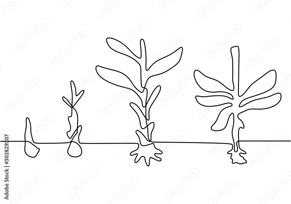 Step of plant growing continuous one line drawing vector minimalism ...