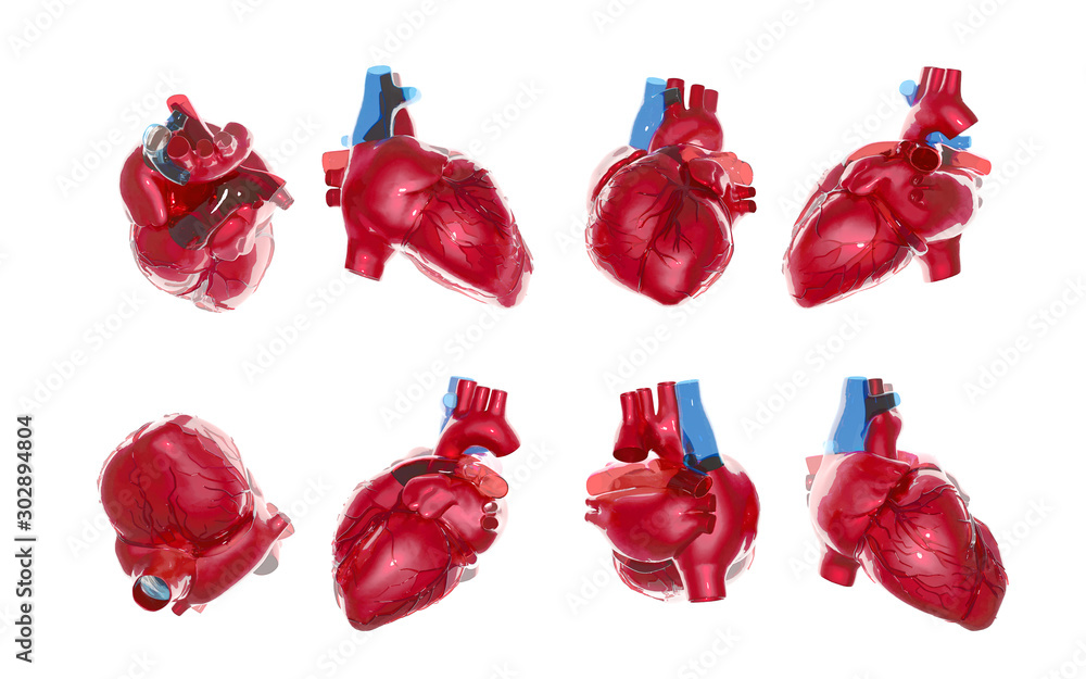 3d rendered anatomy illustration of a human heart. Stock Illustration ...