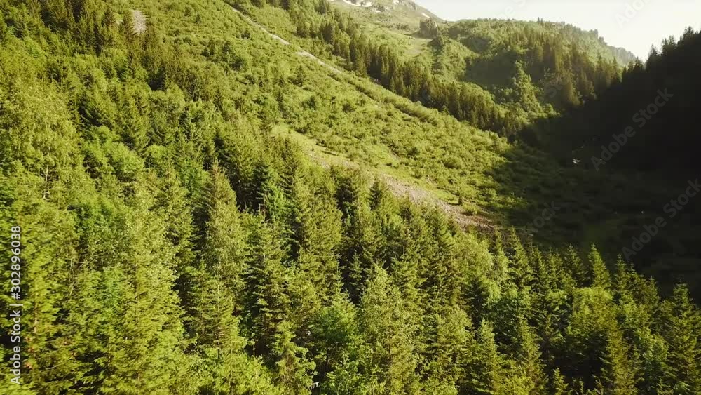 Aerial tracking shot of mountain forest during summer Stock Video ...