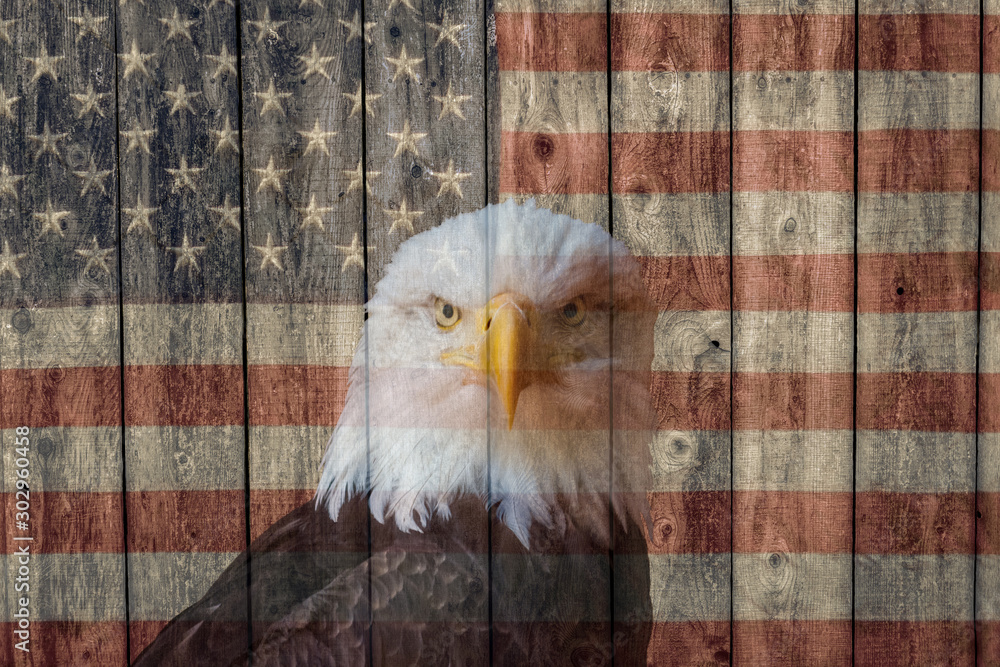 American Flag Vintage Eagle