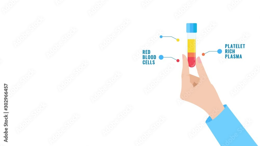 PRP blood structure infographics animation template with a tube in ...