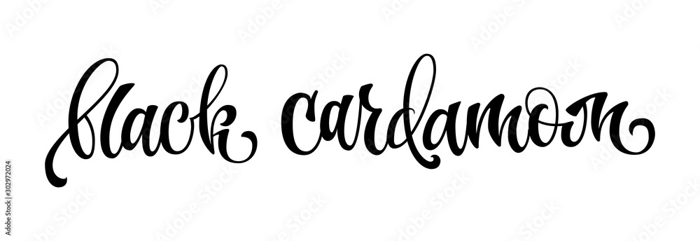 Black cardamom - hand drawn spice label. Isolated calligraphy scrypt ...