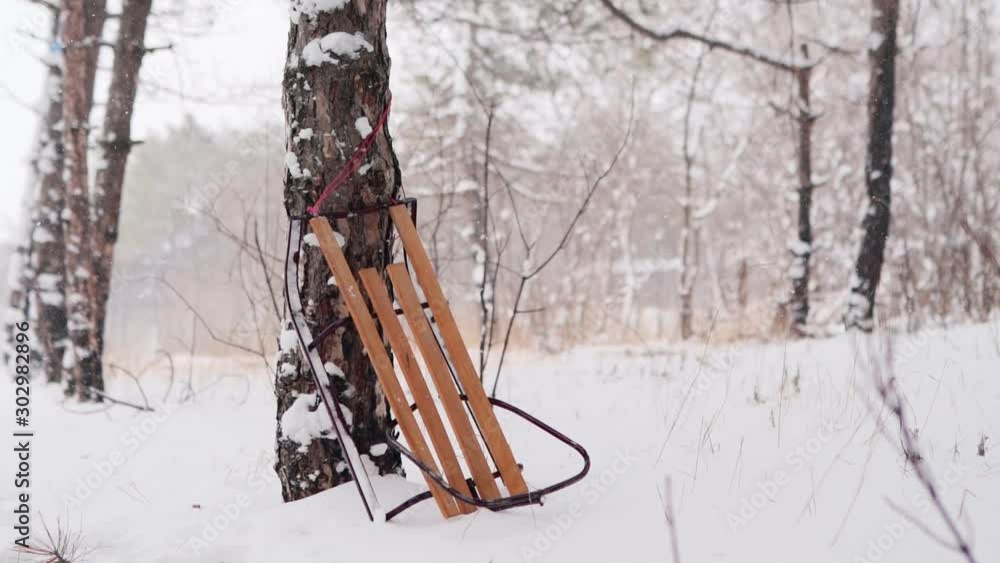 Vintage wooden sled supported by spruce in snowy winter forest. Festive ...