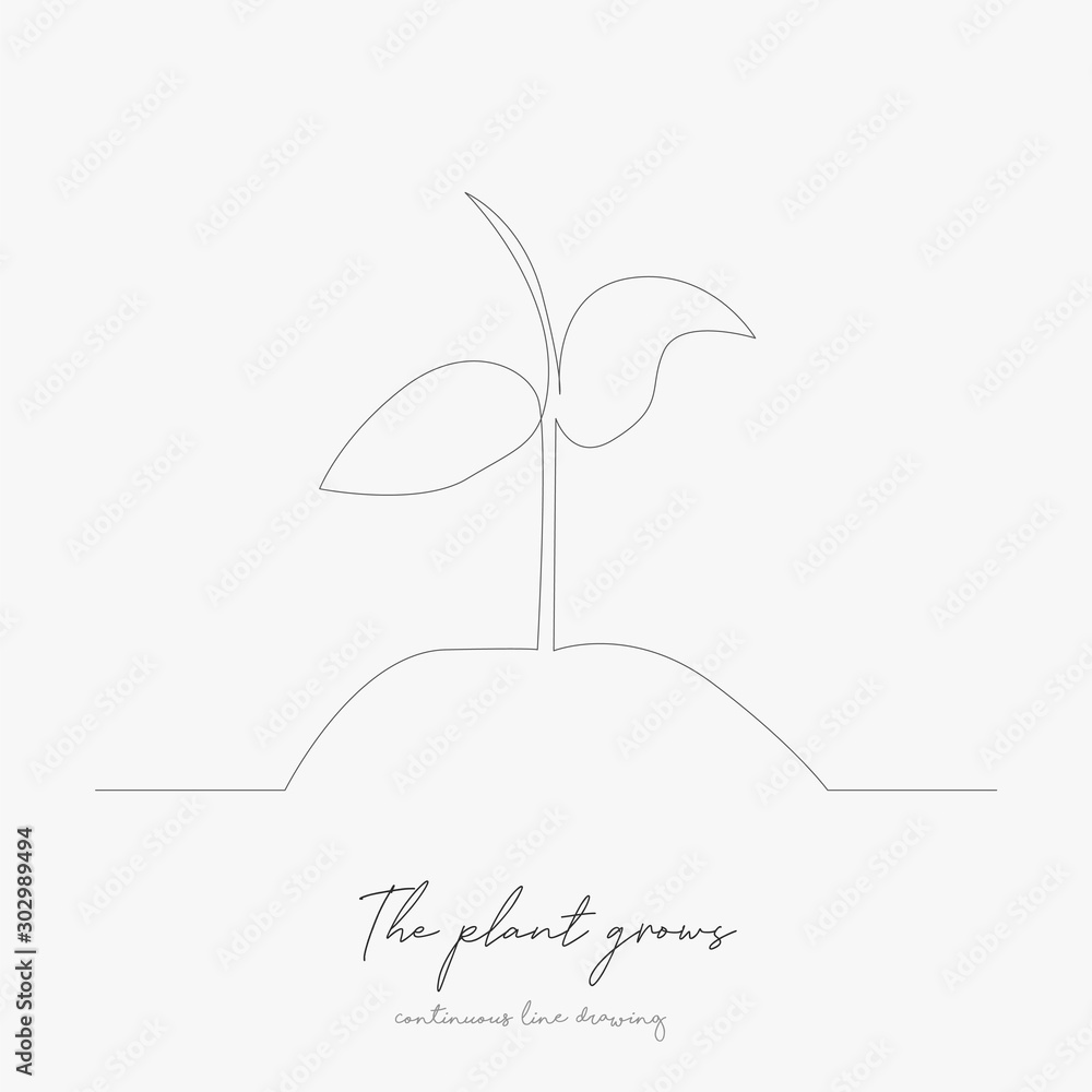 continuous line drawing. the plant grows. simple vector illustration ...