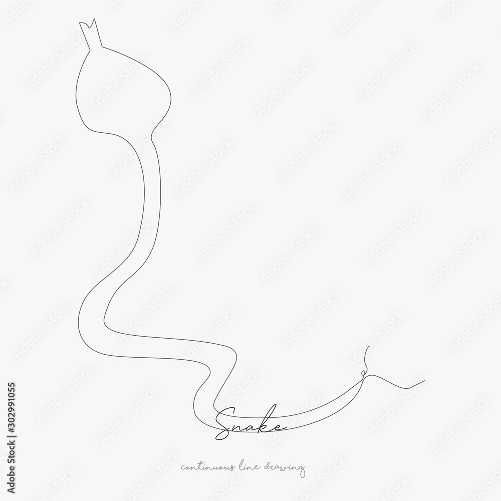 continuous line drawing. snake. simple vector illustration. snake ...