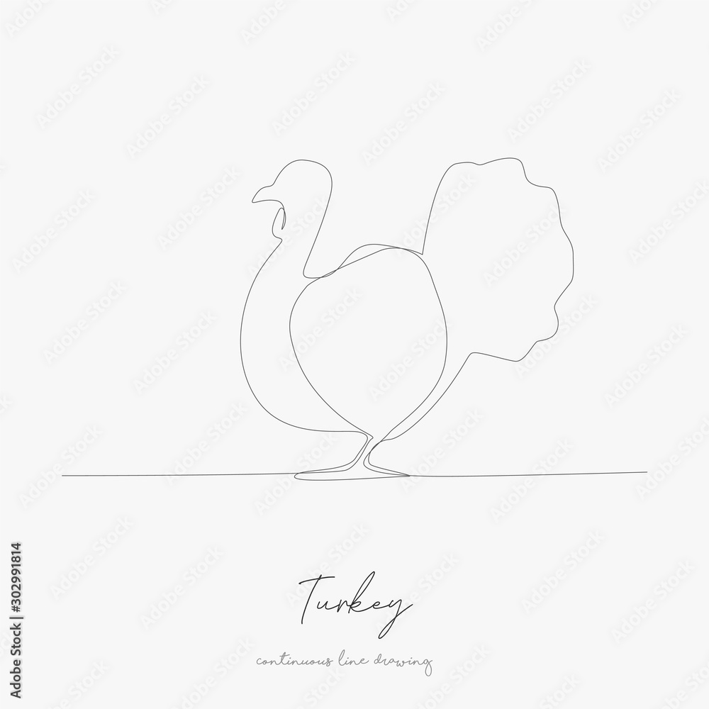 continuous line drawing. turkey. simple vector illustration. turkey ...