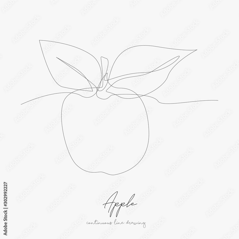 continuous line drawing. apple. simple vector illustration. apple ...
