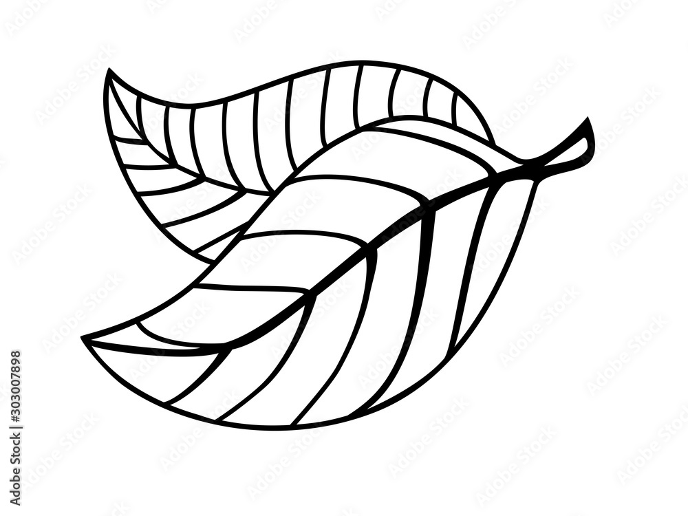 Graceful beautiful leaves - coloring. Two leaves with veinlet and ...