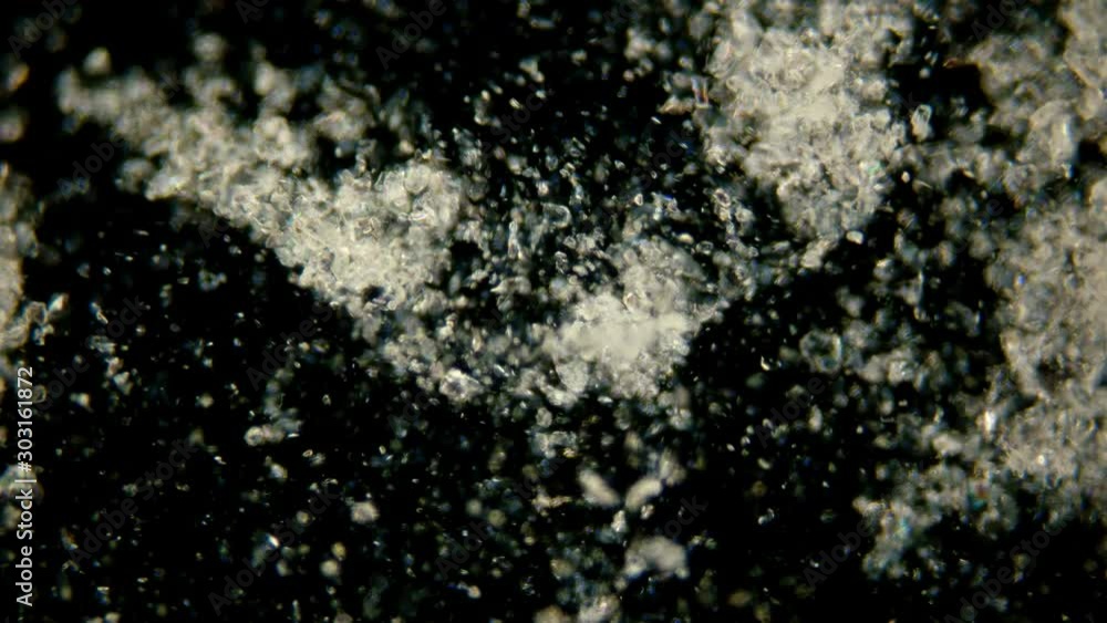 the motion of scorbutus crystals under a microscope, an alcoholic ...