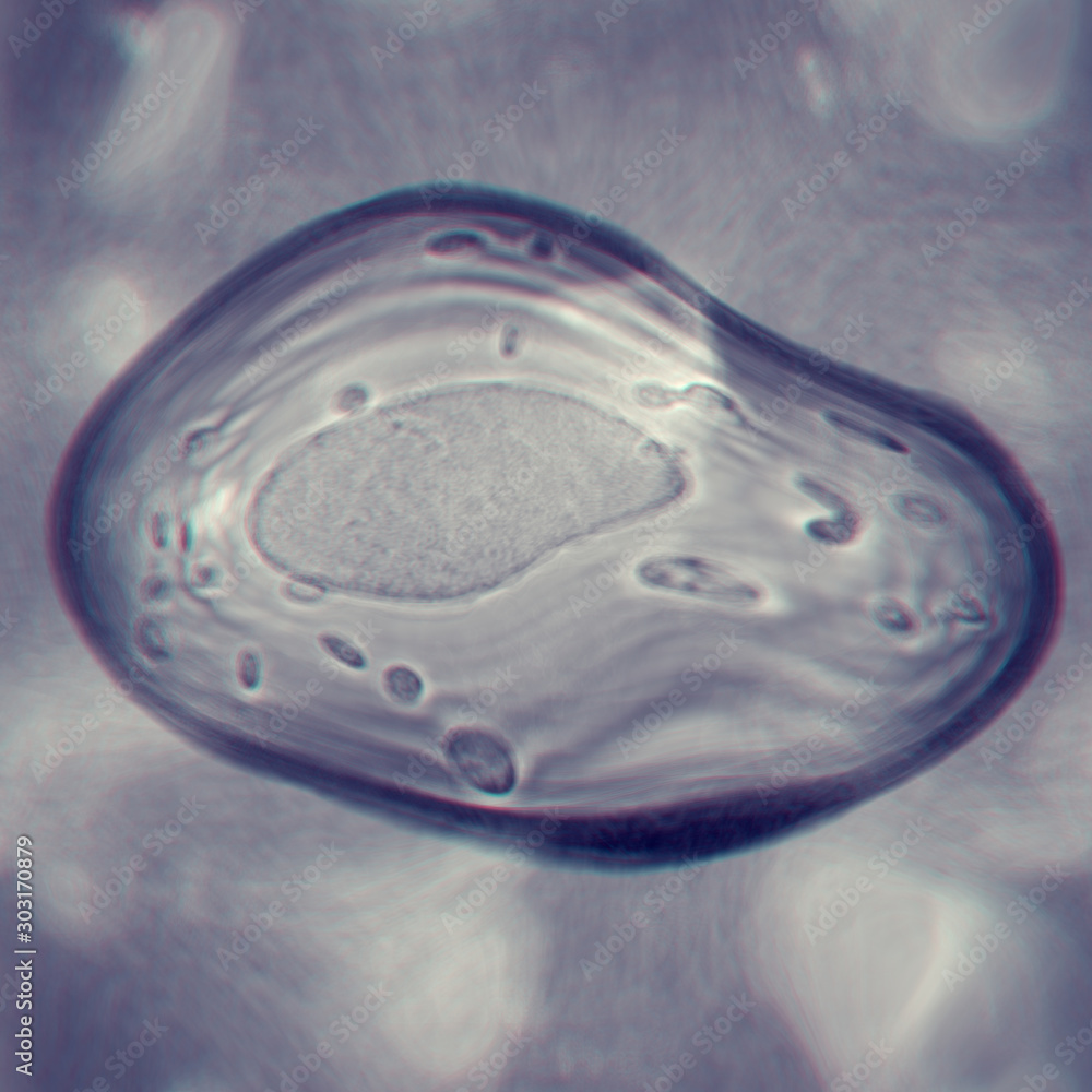 Seamless pattern with single cell microorganism or microbiome on ...