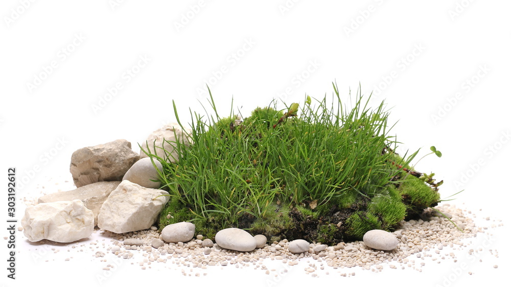 Green grass and moss with sand and decorative stone, rock isolated on ...