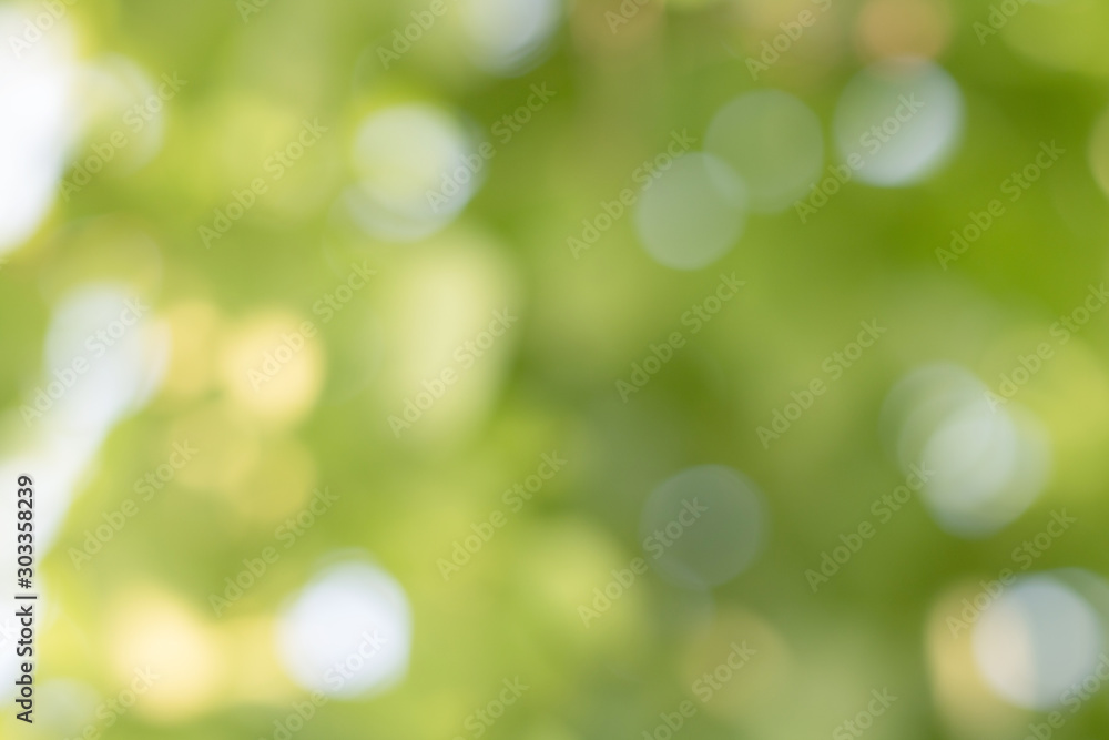Bokeh of Tree Leaves for nature background and save green concept,soft ...