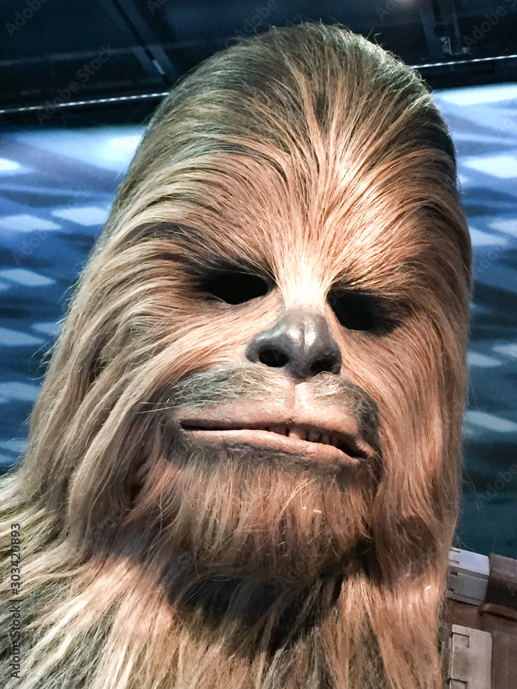 Chewbacca in Star Wars Galaxys StarWars Identities exposition Stock ...
