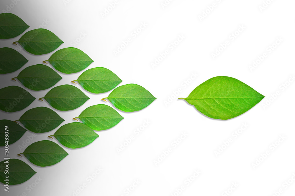 Key opinion leader, influencer and mentor concept with leaf leading a ...