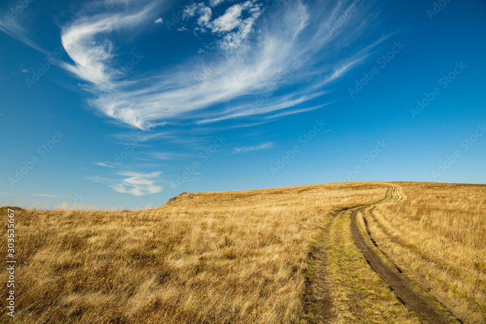 Lonely Landscapes