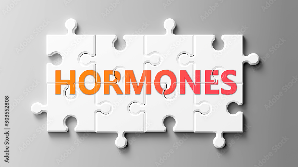 Hormones complex like a puzzle - pictured as word Hormones on a puzzle ...
