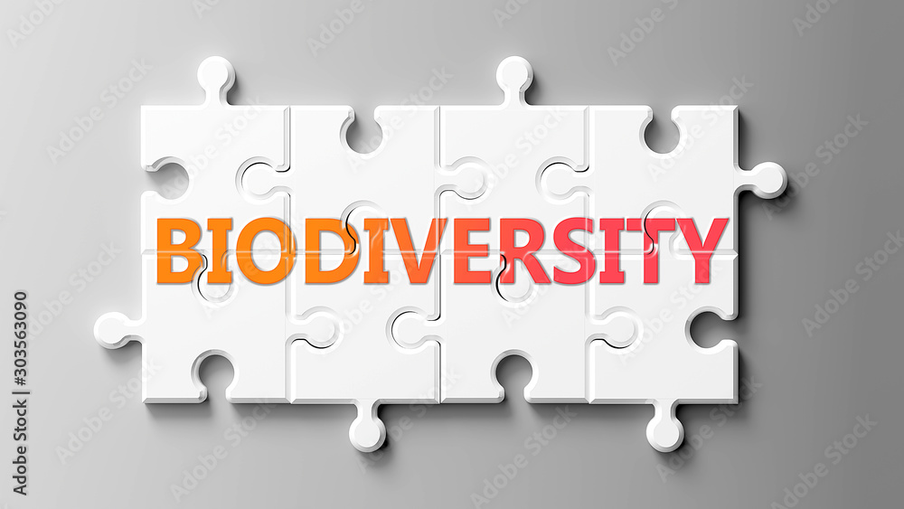 Biodiversity complex like a puzzle - pictured as word Biodiversity on a ...
