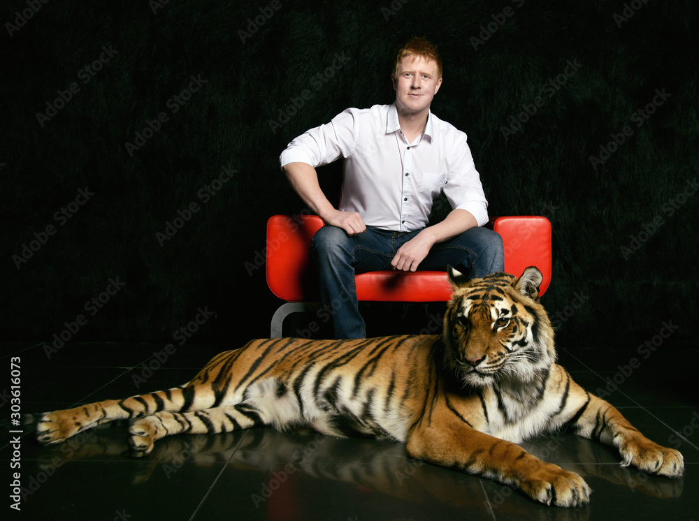 Red-haired man in a white shirt sits on red armchair with a Bengal ...