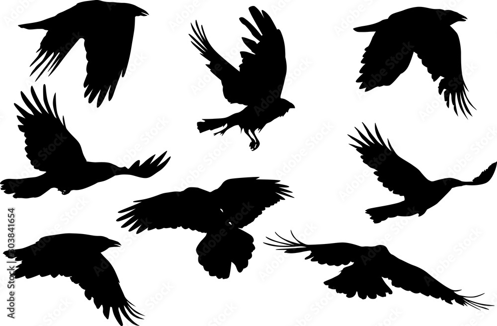 Flying Crows Group