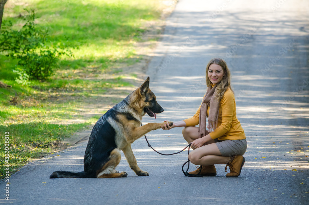 How To Train German Shepherd Puppy To Sit